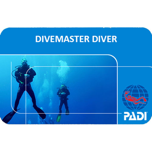 DIVEMASTER: Conviertete en profesional - EL RINCÓN DEL BUCEO